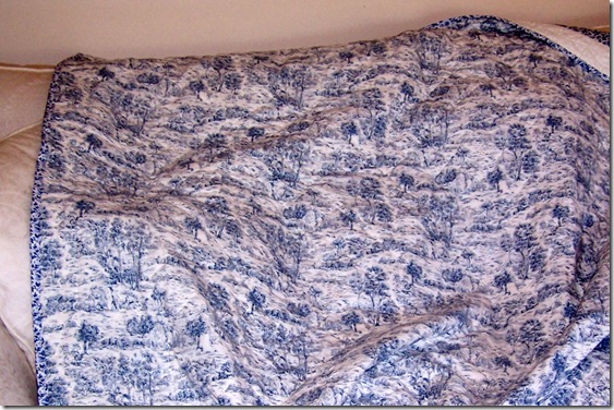 Mary's Tea Cottage: Blue Irish Chain